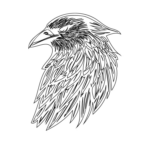 Raven or crow outline sketch Royalty Free Vector Image