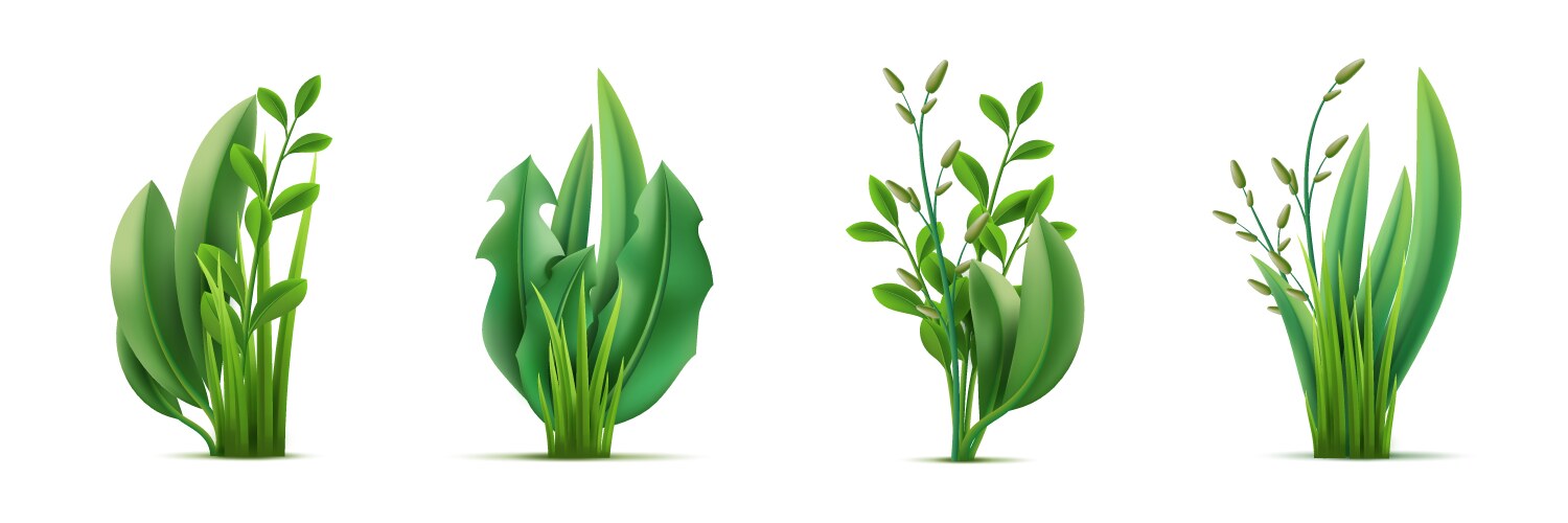Greenery Vector Images (over 73,000)