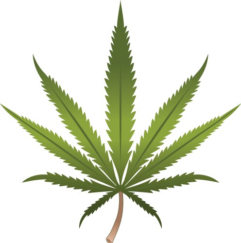 Hemp leaf Royalty Free Vector Image - VectorStock