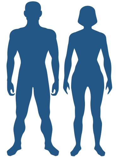 Human Body Outline Vector Images (over 47,000)