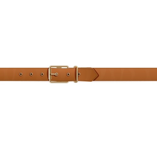 Clothing belt set of various colored belts Vector Image