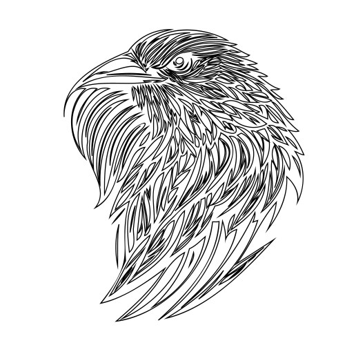 Raven or crow outline sketch Royalty Free Vector Image