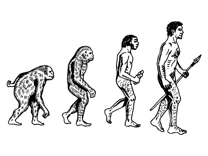 Human evolution transparent background Royalty Free Vector