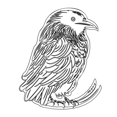 Raven or crow outline sketch Royalty Free Vector Image