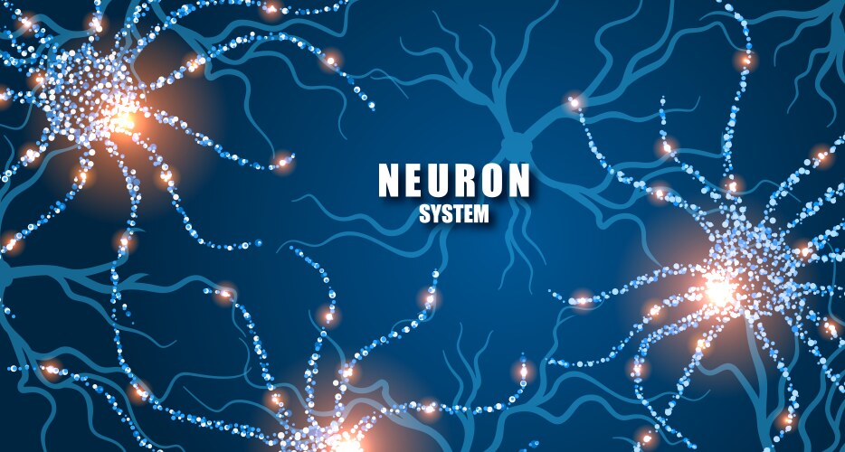 Neuron Vector Images (over 17,000)