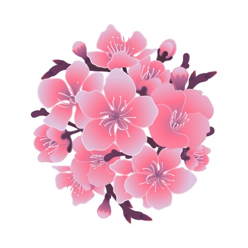 Pink sakura blossom branch Royalty Free Vector Image