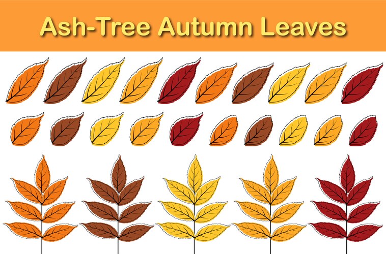 Ash Vector Images (over 22,000)