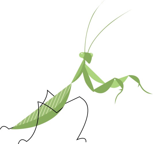 Mantis Vector Images (over 2,600)