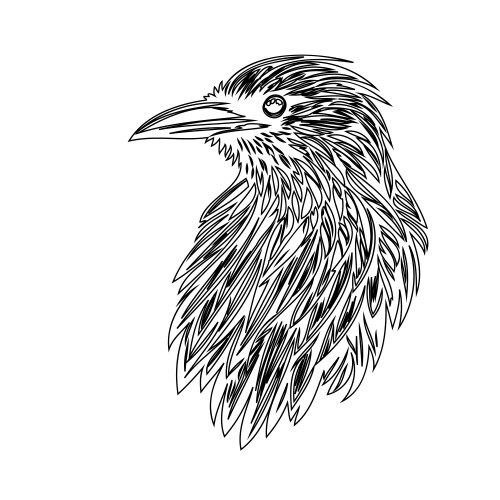 Raven or crow outline sketch Royalty Free Vector Image
