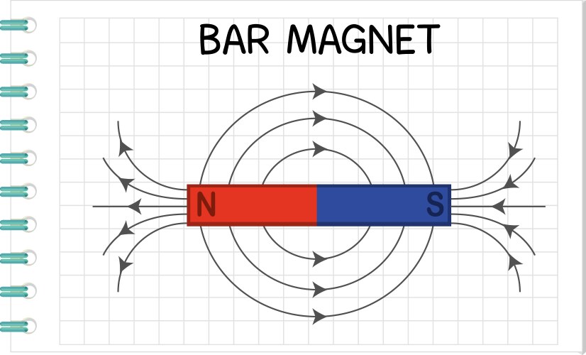 Bar magnet diagram for education Royalty Free Vector Image