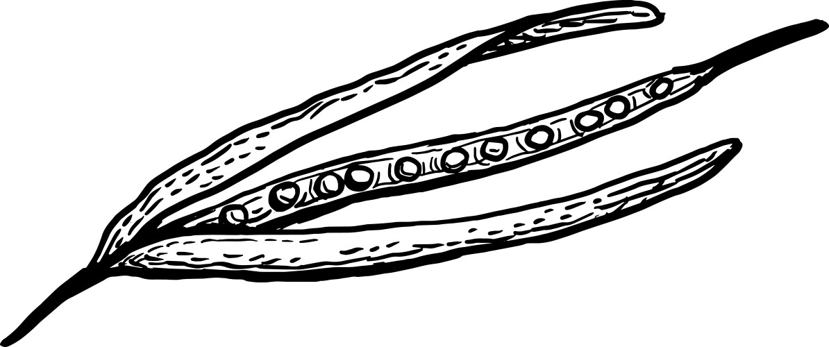 Pod Vector Images (over 28,000)