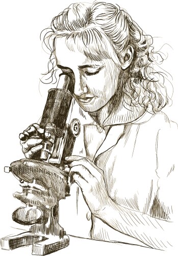 Lion Royalty Free Vector Image - VectorStock