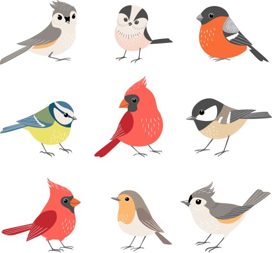 Winter background with funny birds Royalty Free Vector Image