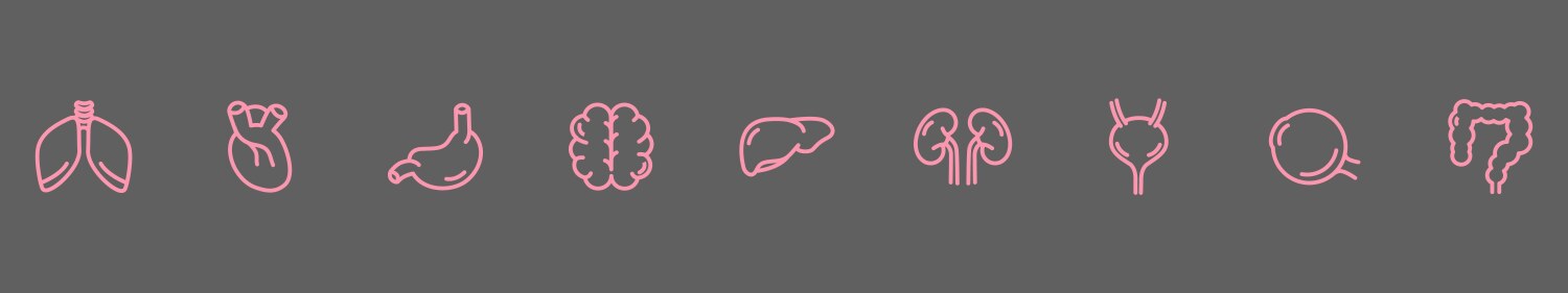 Human internal organs icon set Royalty Free Vector Image