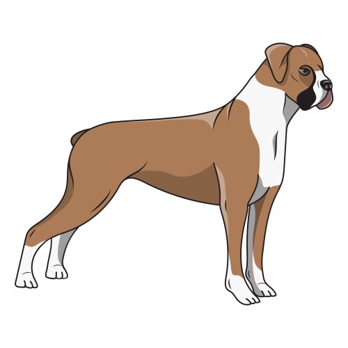 Boxer Dog Face Logo Vector Images (over 230)