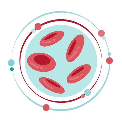 Blood glucose and a1c normal ranges infographic Vector Image