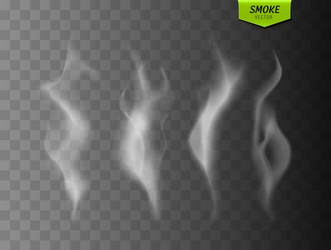 Smoke isolated on transparent background Vector Image