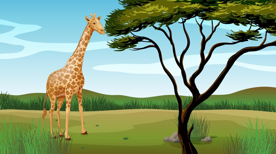 Giraffe Vector Images (over 41,000)