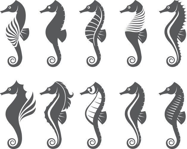 Seahorse graphic sea Royalty Free Vector Image