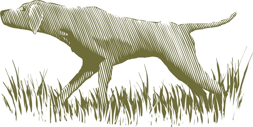 Bird Dog Vector Images (over 17,000)