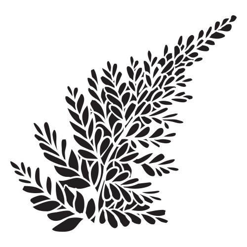 New Zealand Fern Vector Images (over 100)