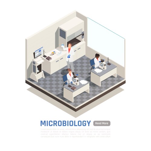 Microbiology lab isometric flowchart Royalty Free Vector