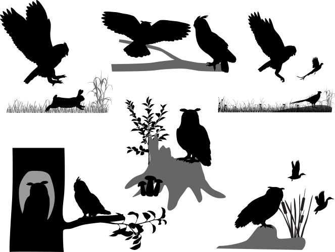 Wildlife Vector Images (over 770,000)
