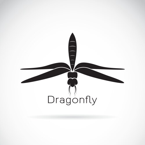 Dragonfly Vector Images (over 19,000)