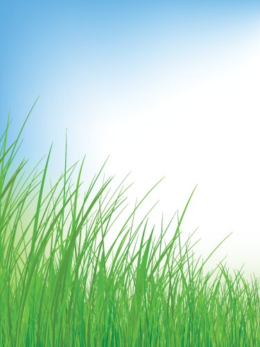 Green grass meadow Royalty Free Vector Image - VectorStock