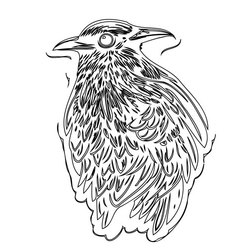 Raven or crow outline sketch Royalty Free Vector Image