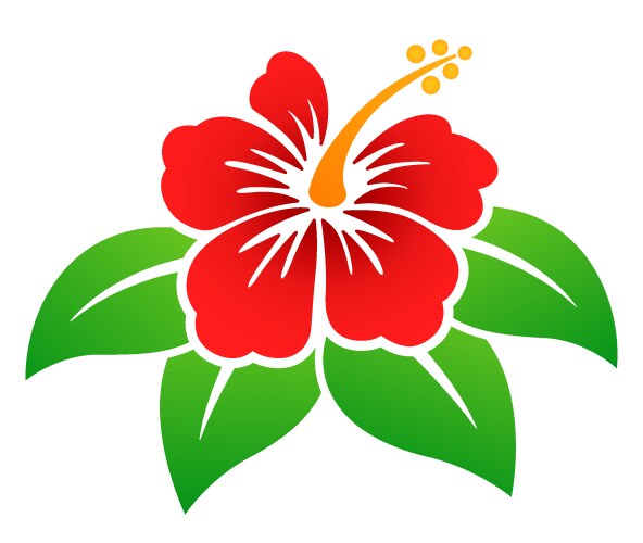 Hibiscus Cartoon Vector Images (over 2,700)