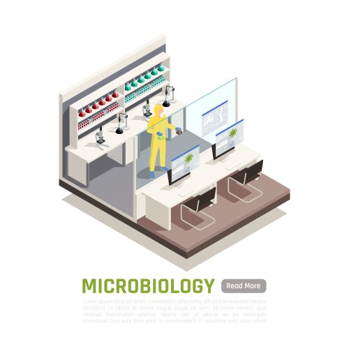 Microbiology lab isometric flowchart Royalty Free Vector