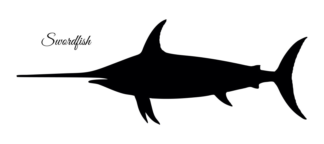 Swordfish Vector Images (over 2,300)