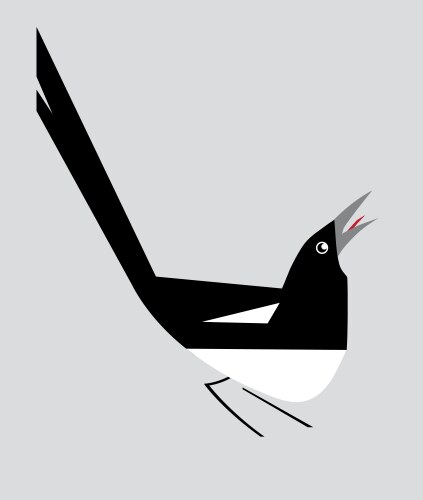 Magpie Vector Images (over 1,400)