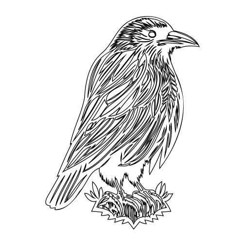 Raven or crow outline sketch Royalty Free Vector Image