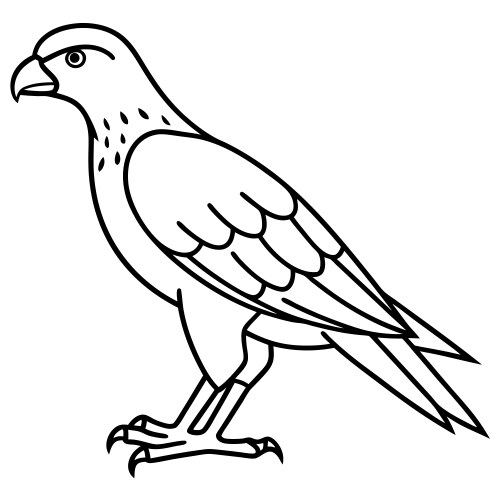 Animated Hawk Vector Images (over 29,000)