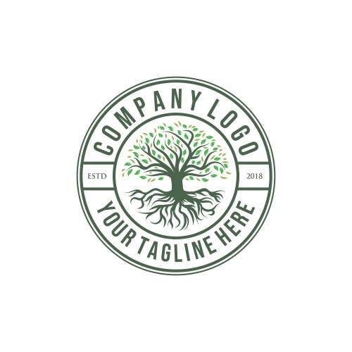 Olive tree logo designs root Royalty Free Vector Image