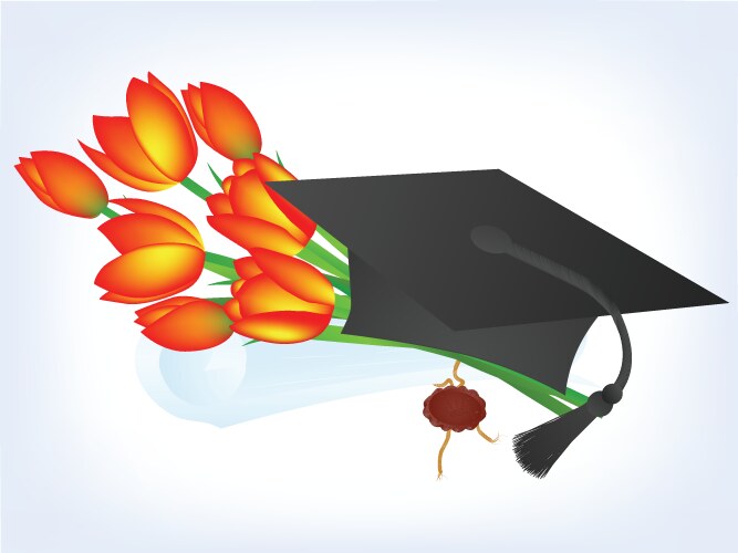 Congratulations graduation card Royalty Free Vector Image