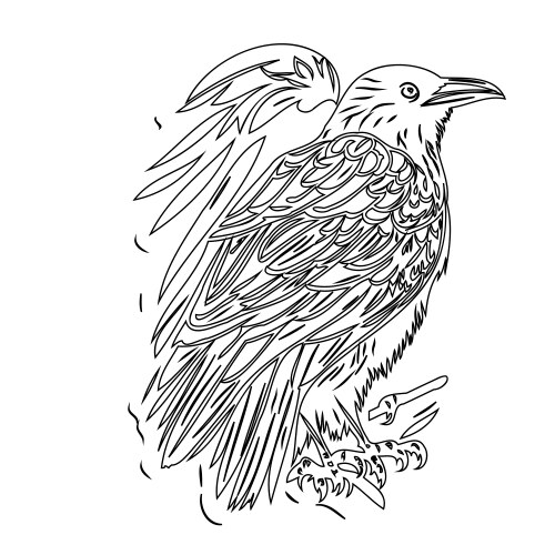 Raven or crow outline sketch Royalty Free Vector Image