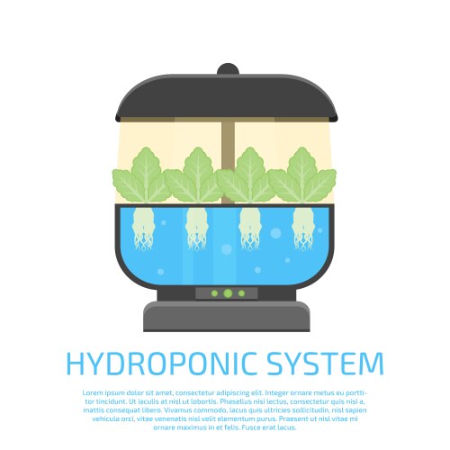 Hydroponic Vector Images (over 2,500)