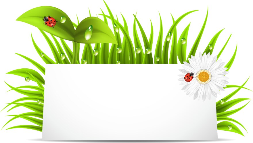 Leaf banner Royalty Free Vector Image - VectorStock