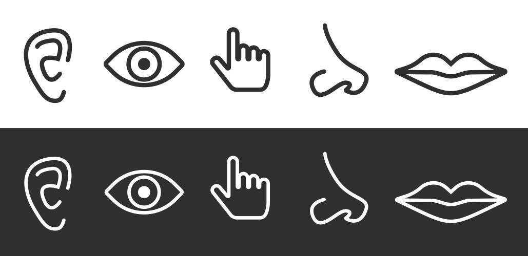 Five senses poster hearing sense presentation Vector Image