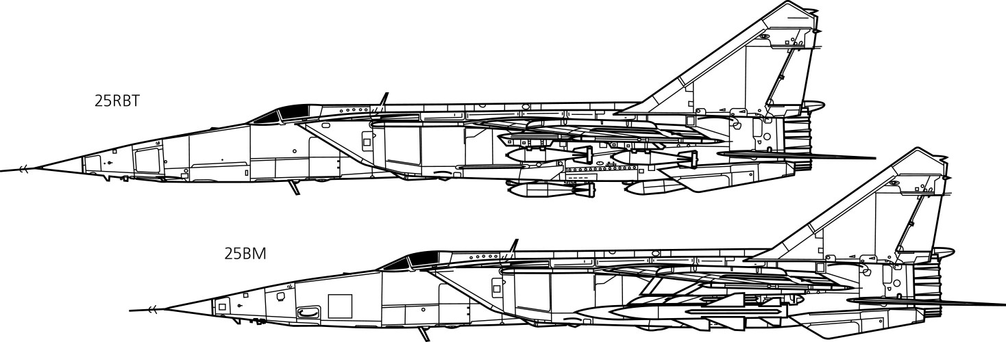 Mikoyan MiG-25 Foxbat Aircraft Profile Royalty Free Vector