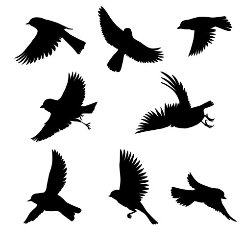 Bird Flying Outline Drawing Vector Images (over 19,000)