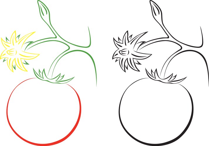 Tomato Vector Images (over 150,000)