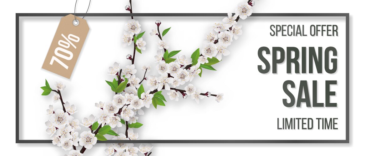 Spring sale frame with chamomiles and branch Vector Image