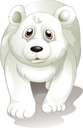 A big white bear Royalty Free Vector Image - VectorStock