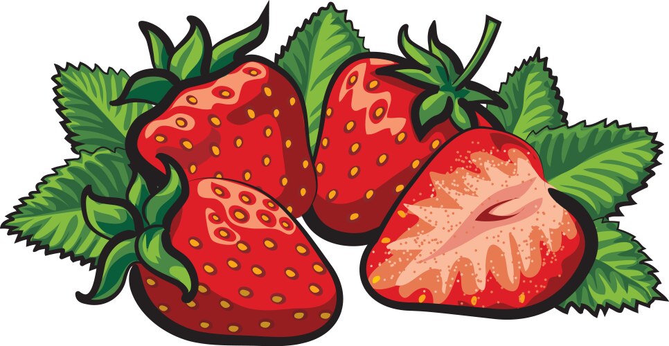 Strawberry Vector Images (over 130,000)