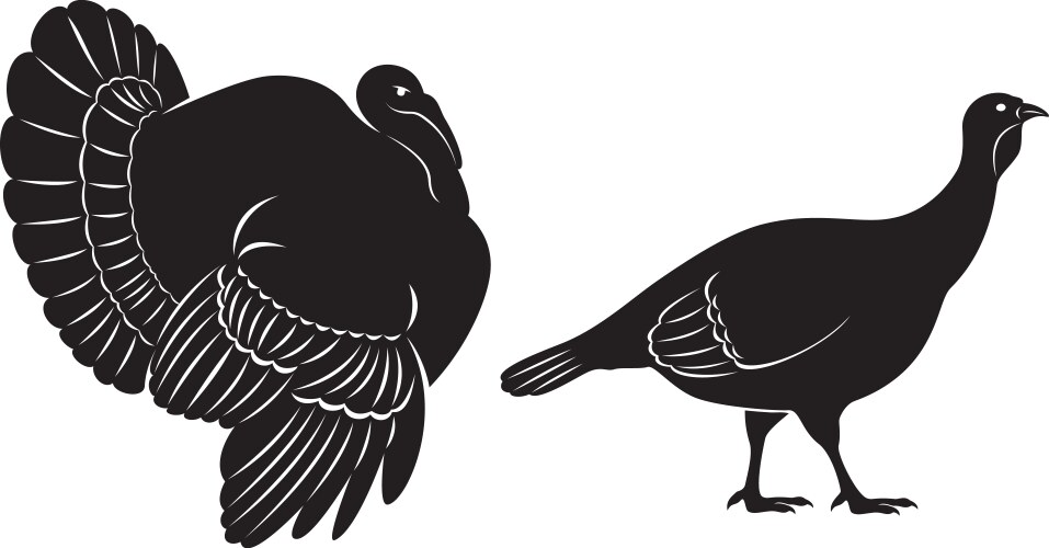 Turkey Vector Images (over 83,000)