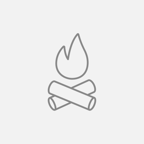 Campfire icon Royalty Free Vector Image - VectorStock